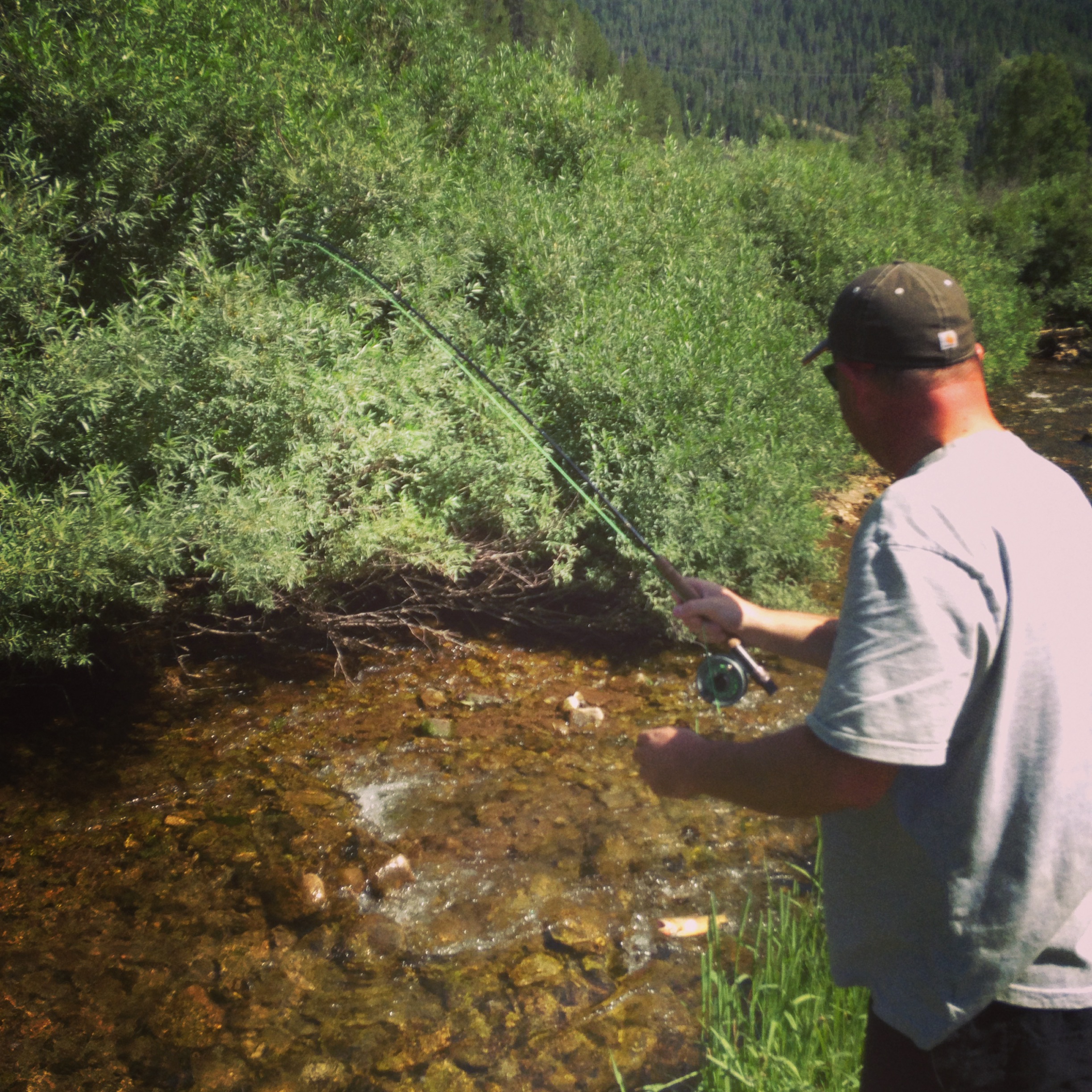 ROB’S FISH – Upland Ways